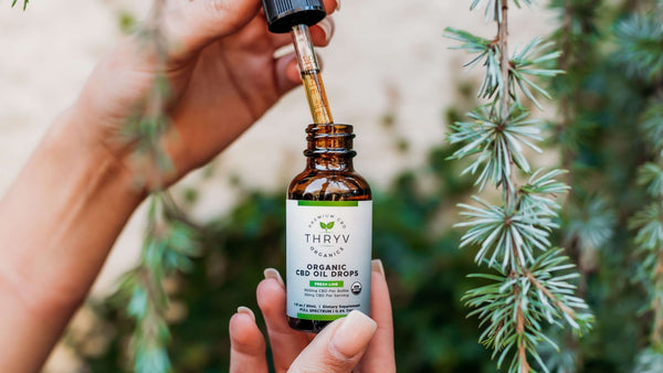 The ECS: Is it Your Body's Most Important System? | Thryv Organics